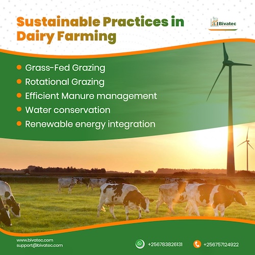 The Future of Dairy Farming: Sustainable Practices for Ethically-Sourced Milk