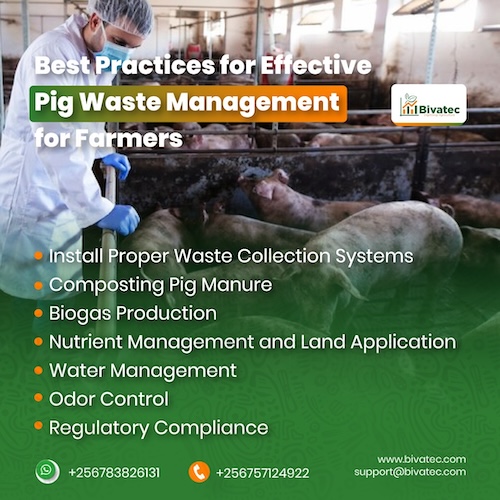 Best Practices for Effective Pig Waste Management for Farmers