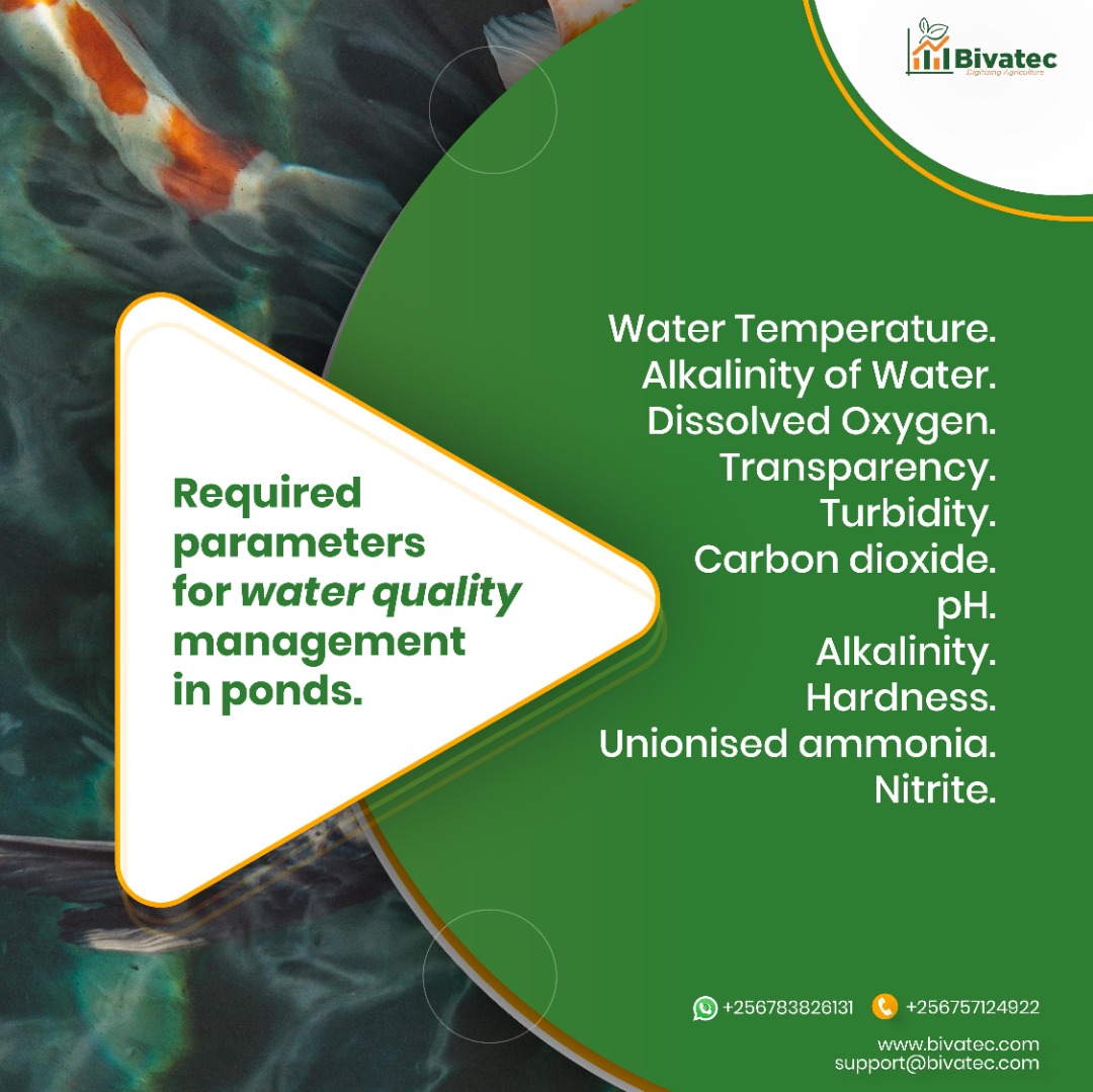 Factors Affecting Fish Farming: Water Parameters and Pre-Stocking ...