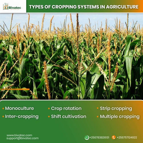 Crop Your Way To Success Exploring Different Cropping Systems In