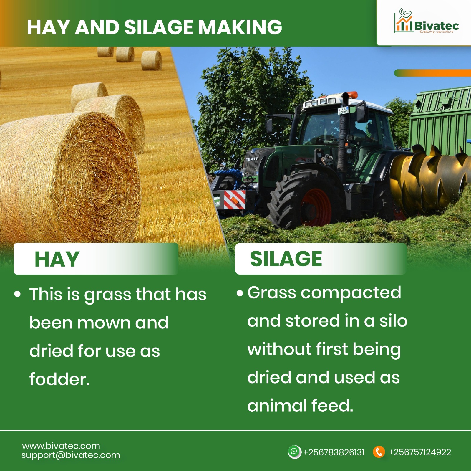How To Make Quality Hay And Silage A Guide For Livestock Farmers How To Make Quality Hay And Silage A Guide For Livestock Farmers
