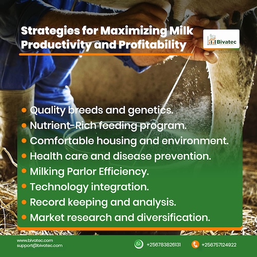 The Dairy Farmer's Toolkit: Strategies for Maximizing Milk Production ...