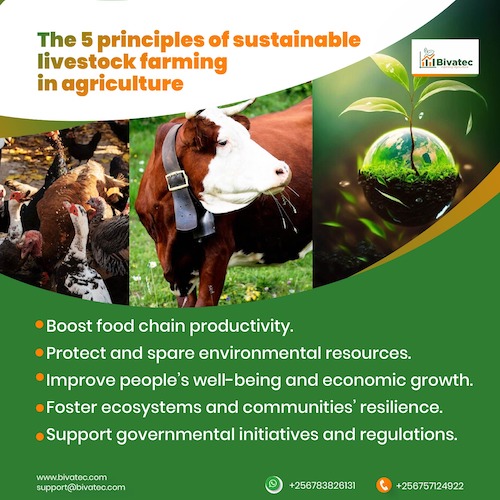 Sustainable Livestock Farming for Resilient Agriculture