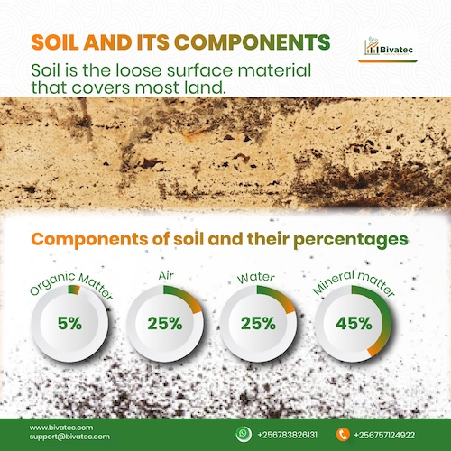 Beneath Our Feet: The Intricate World of Soil Science