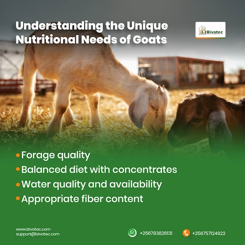 The Complete Guide to Goat Nutrition and Feeding