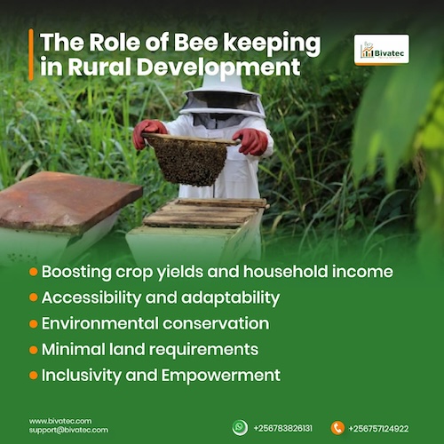 Sustainable Beekeeping for Rural Farmers
