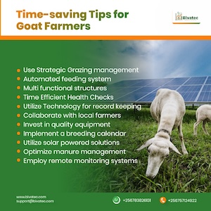 Smart Goat Farming Hacks for Busy Farmers